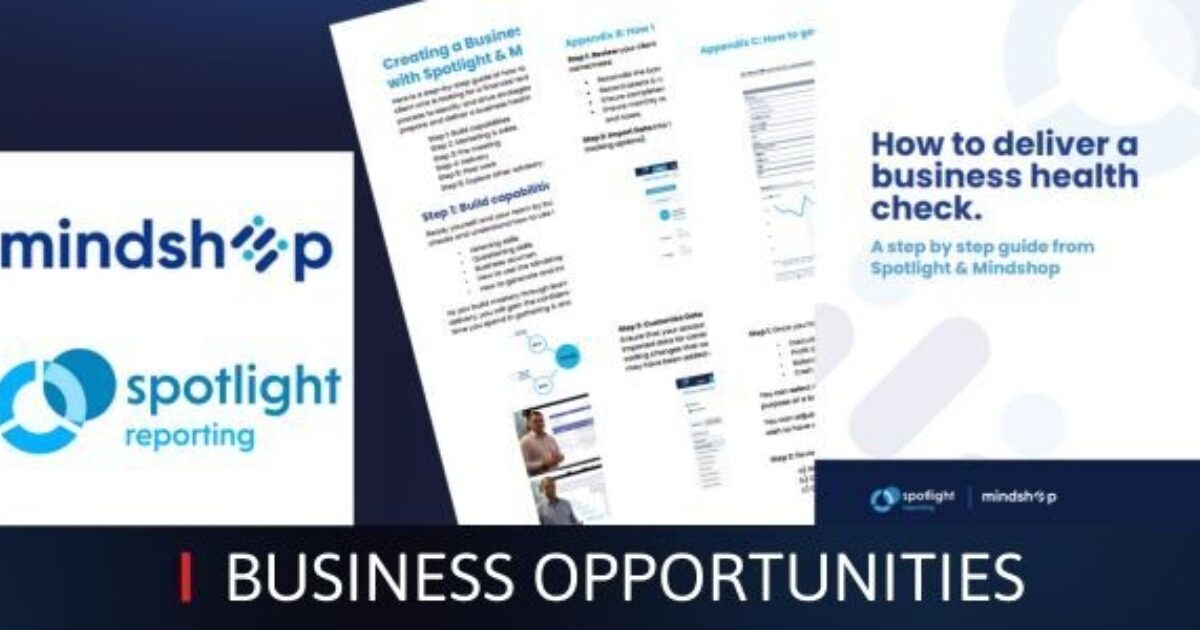PrimeGlobal | How to deliver a business health check: a step by step…